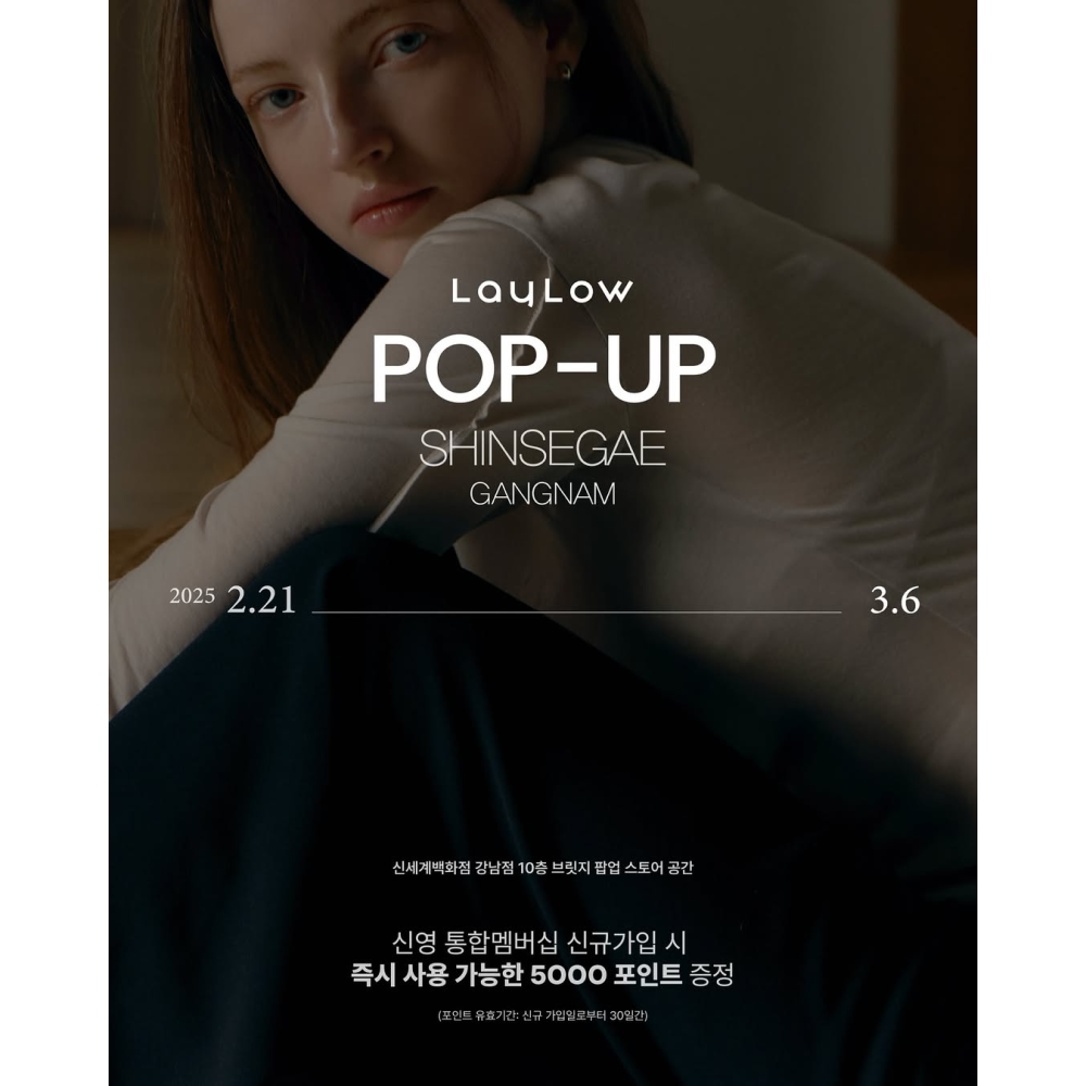 레이로우 팝업 | 팝가 Popga