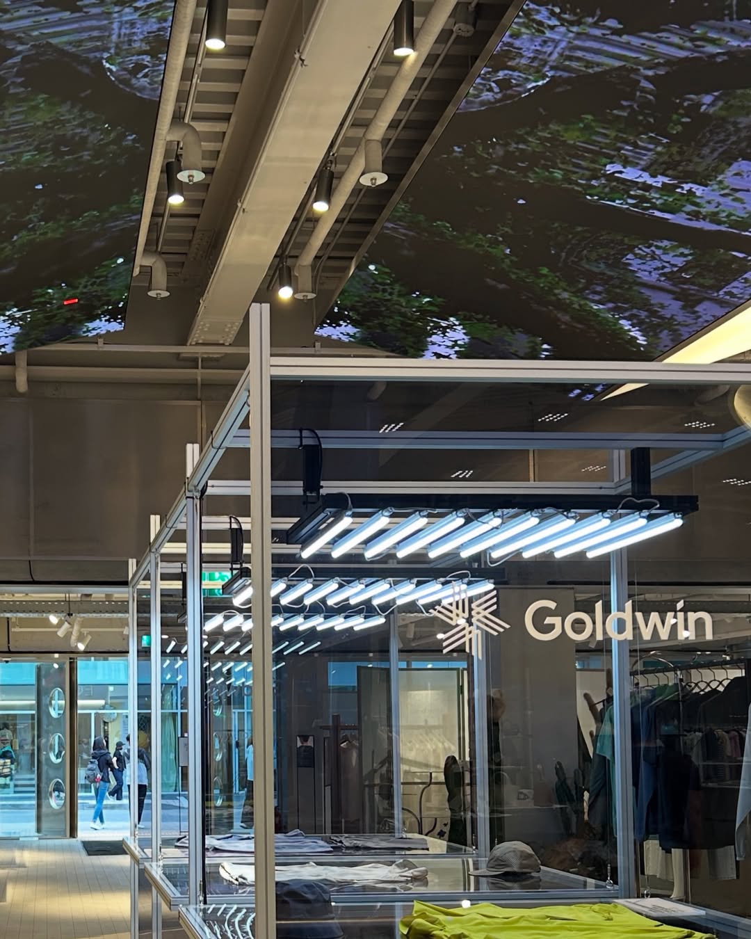 골드윈 팝업 | 팝가 POPGA