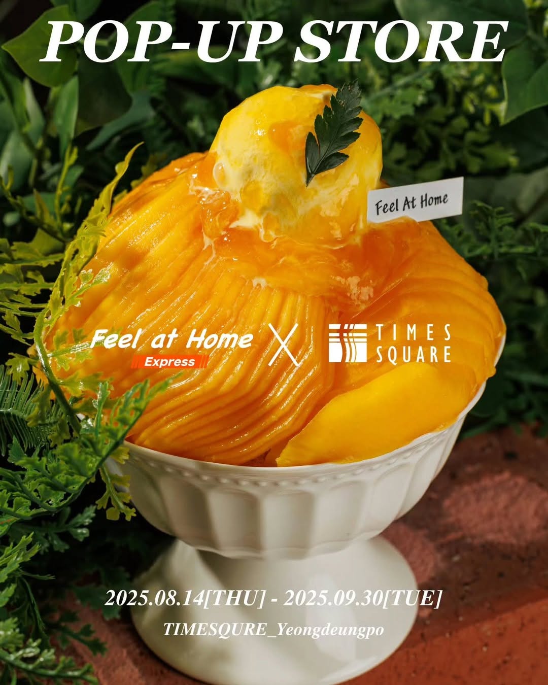 필앳홈 팝업 - 필앳홈 팝업 팝업 | 팝가 Popga