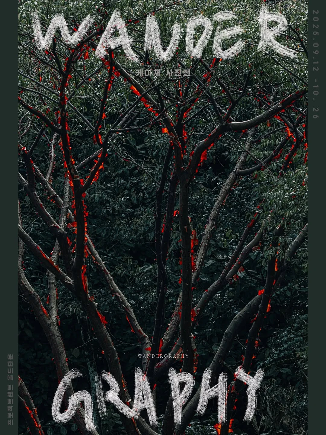 케이채 사진전 - Wandergraphy - 케이채 사진전 팝업 | 팝가 Popga